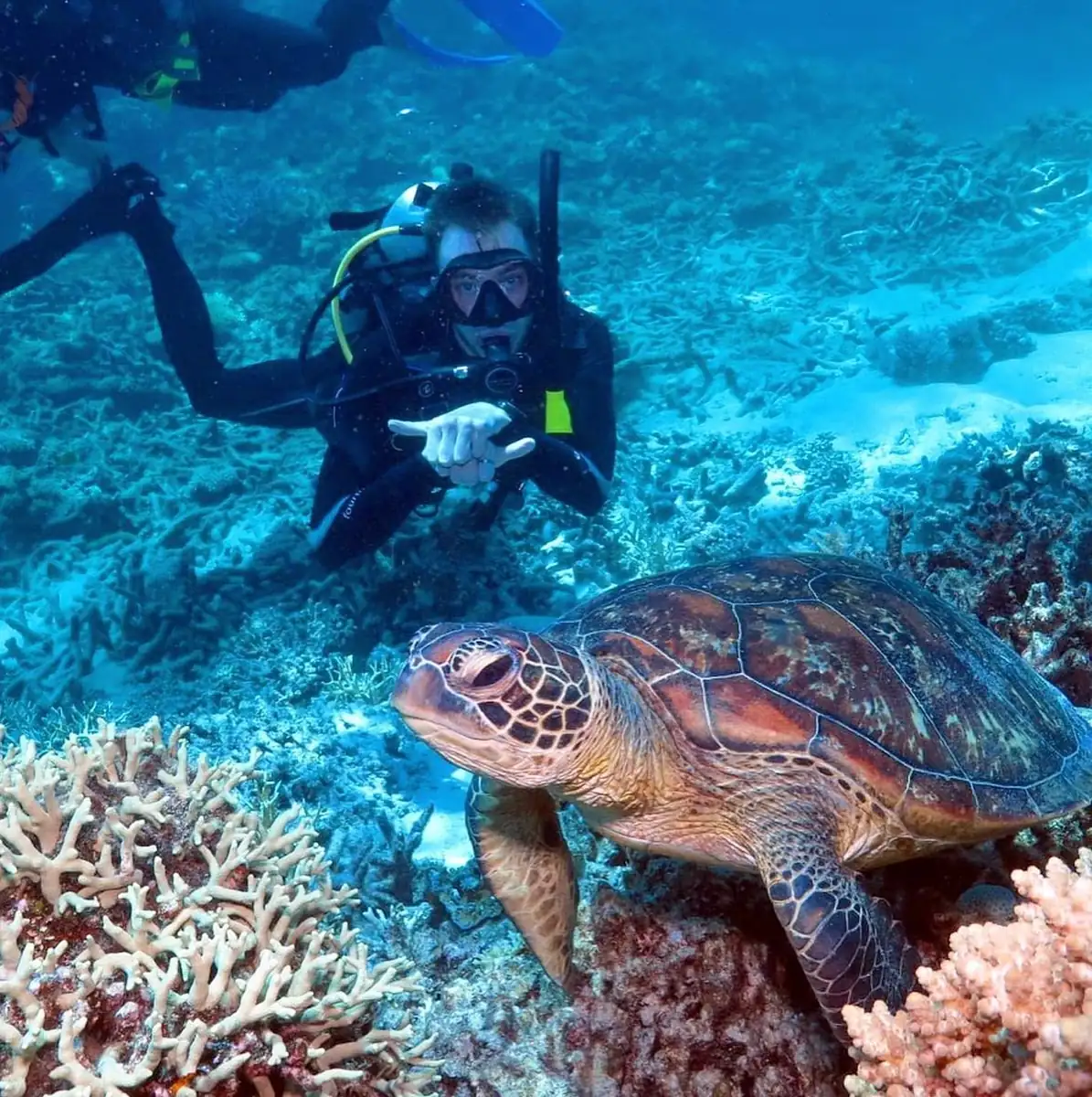 Be a Marine Biologist for a Day: Citizen Science Tours on the GBR